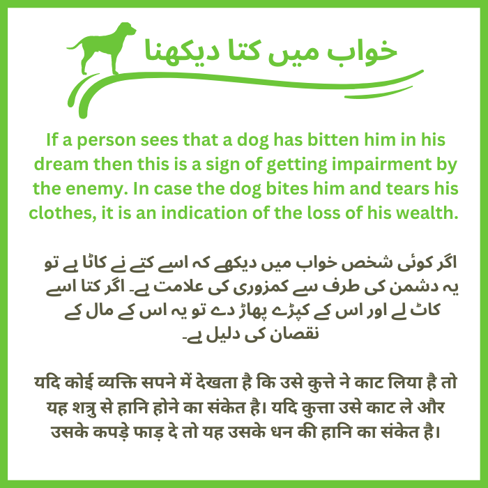 Khwab Mein Kutta Dekhna | Khwab mein Dog dekhna ki Tabeer
